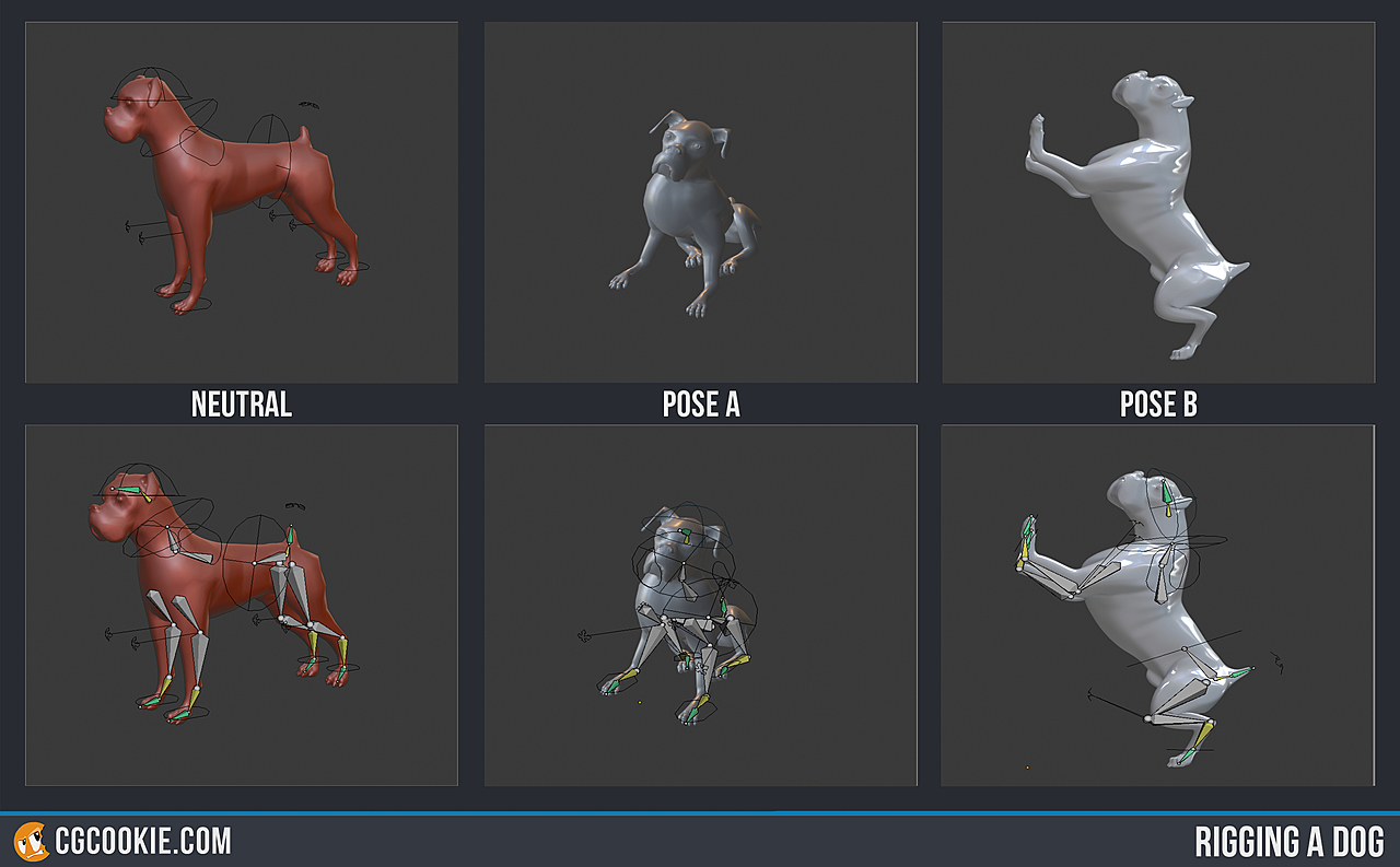 How to rigging animals in Blender – Vivian Niuwa